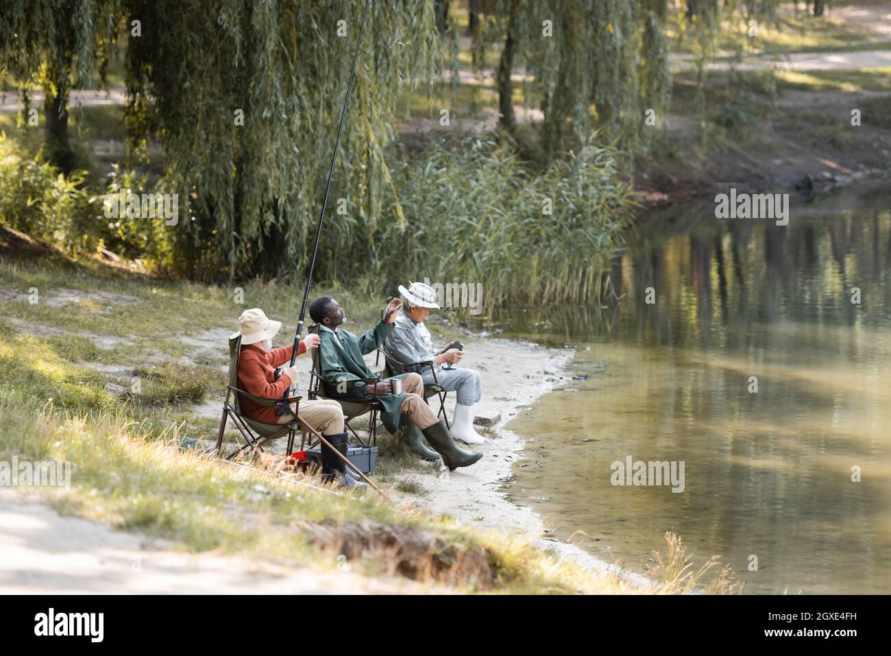 African rubber tree hi-res stock photography and images - Alamy