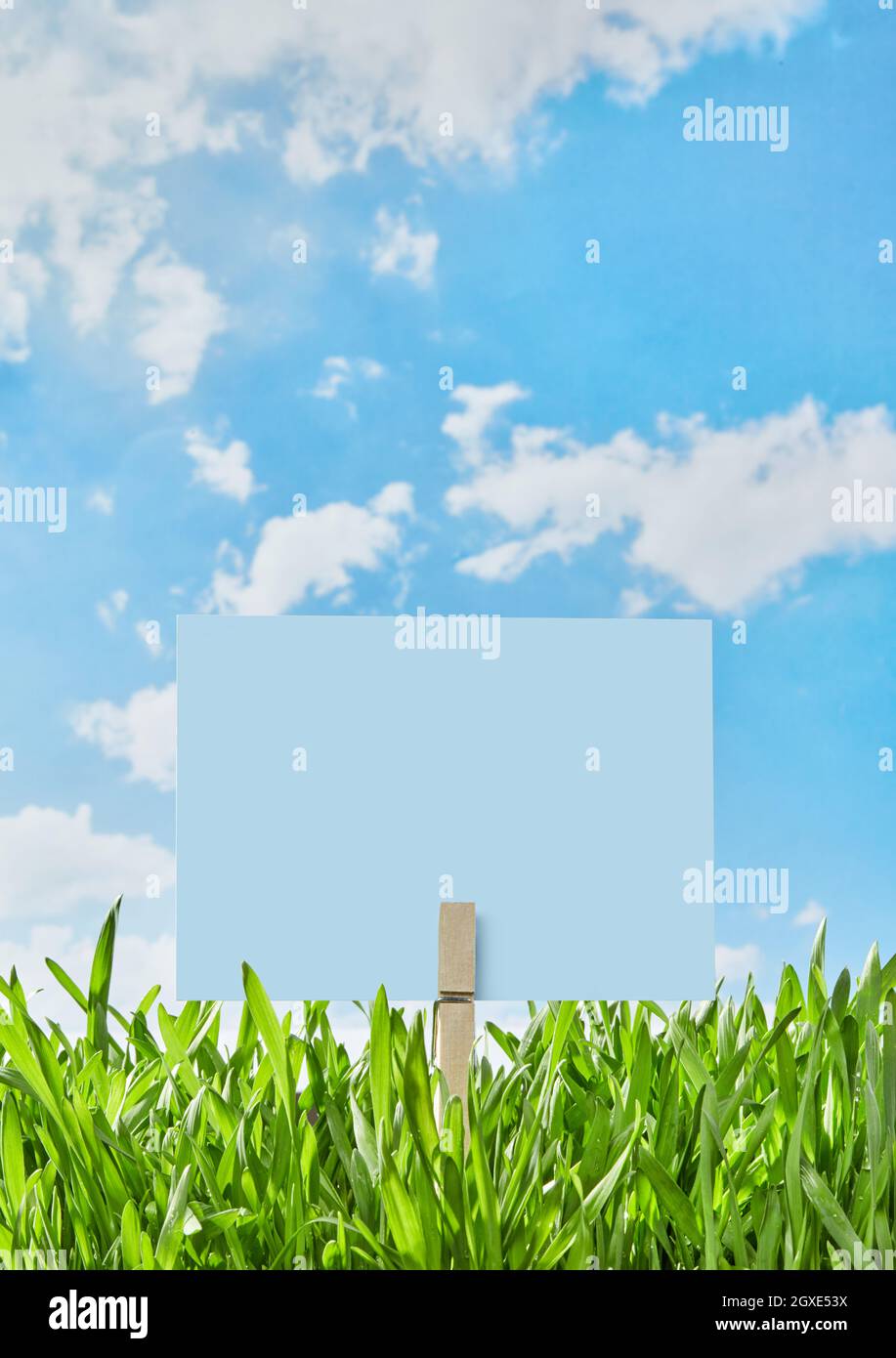 Blue placard in grass with sky background Stock Photo - Alamy