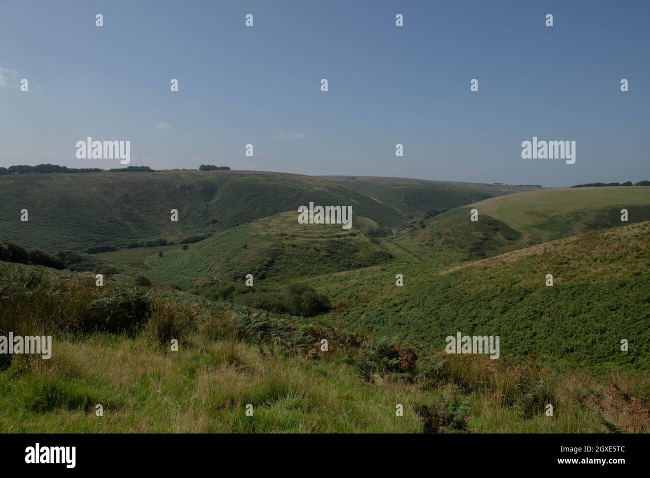 Panoramic View of Cow Castle Iron Age Hill Fort in the River Barle ...