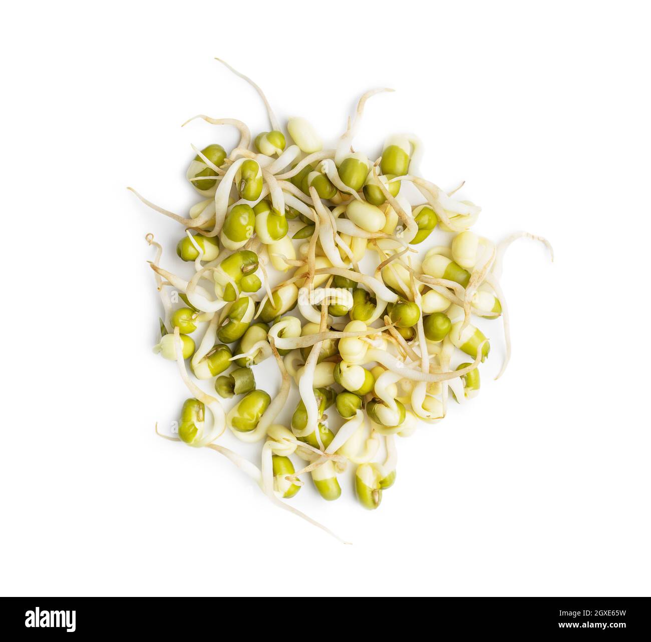 Sprouted green mung beans. Mung sprouts isolated on white background ...