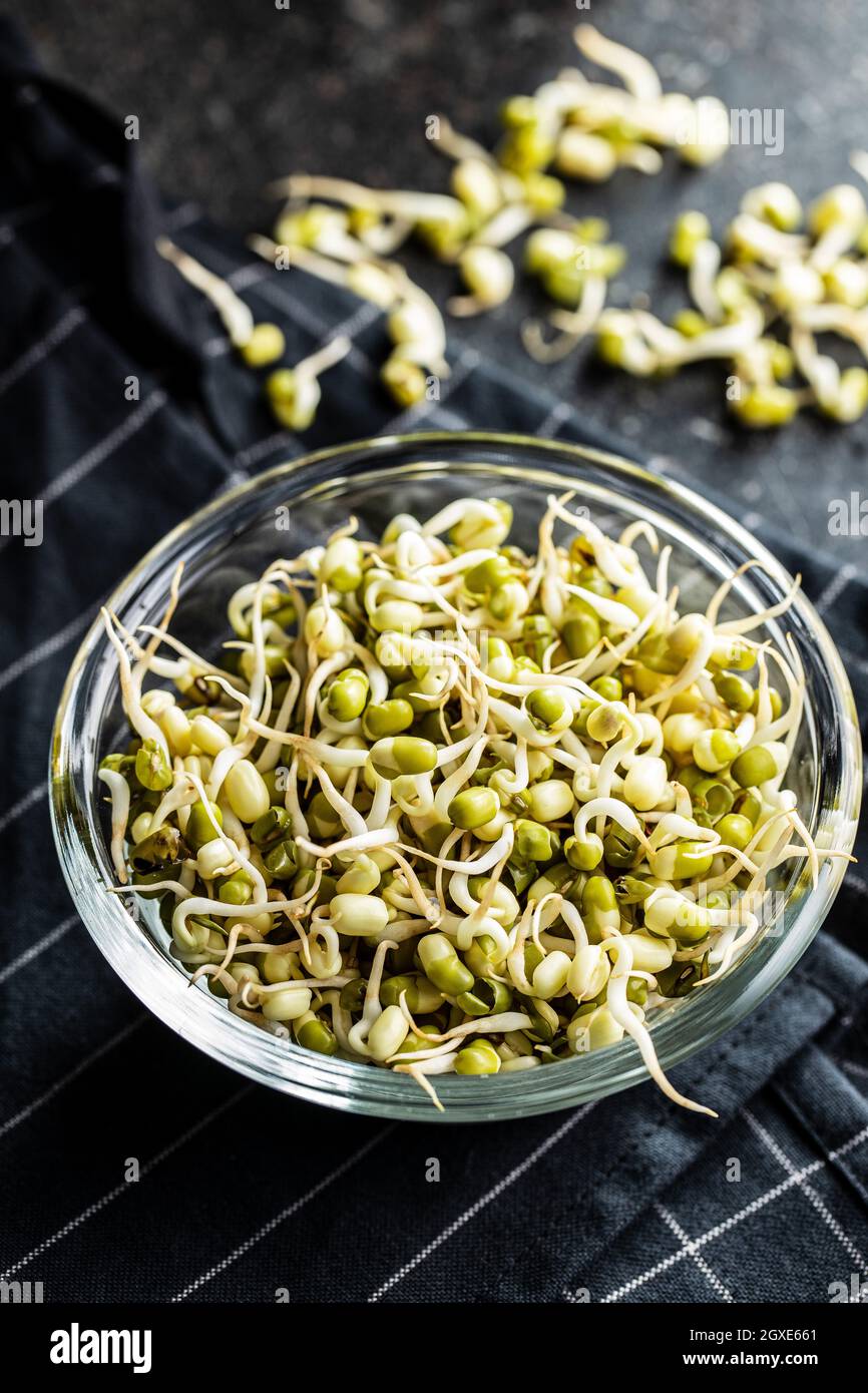 Sprouted green mung beans. Mung sprouts in bowl on black table Stock ...