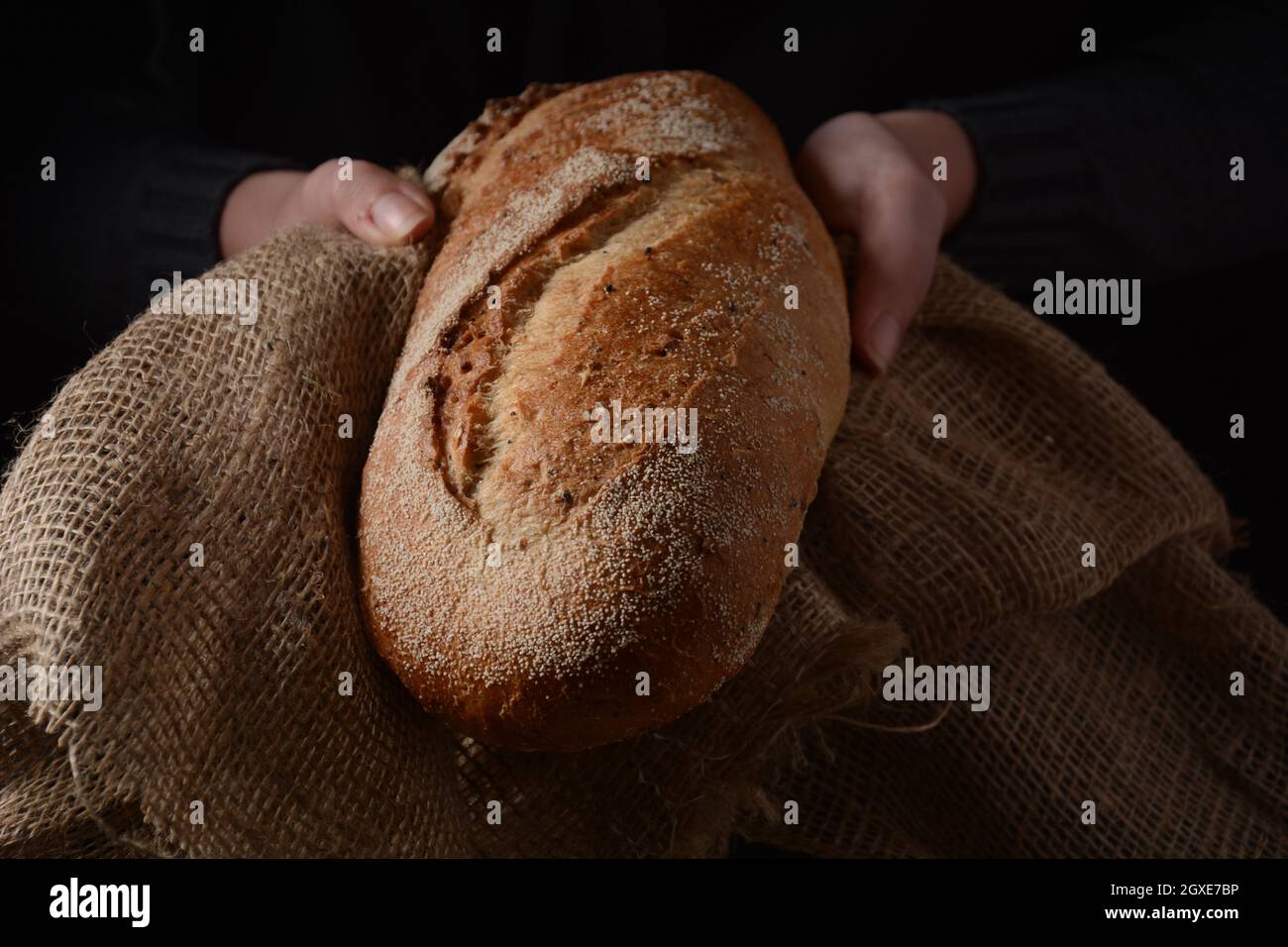 Brown fresh hot Rye bread in a tender girl's hands. Dark wall on a ...