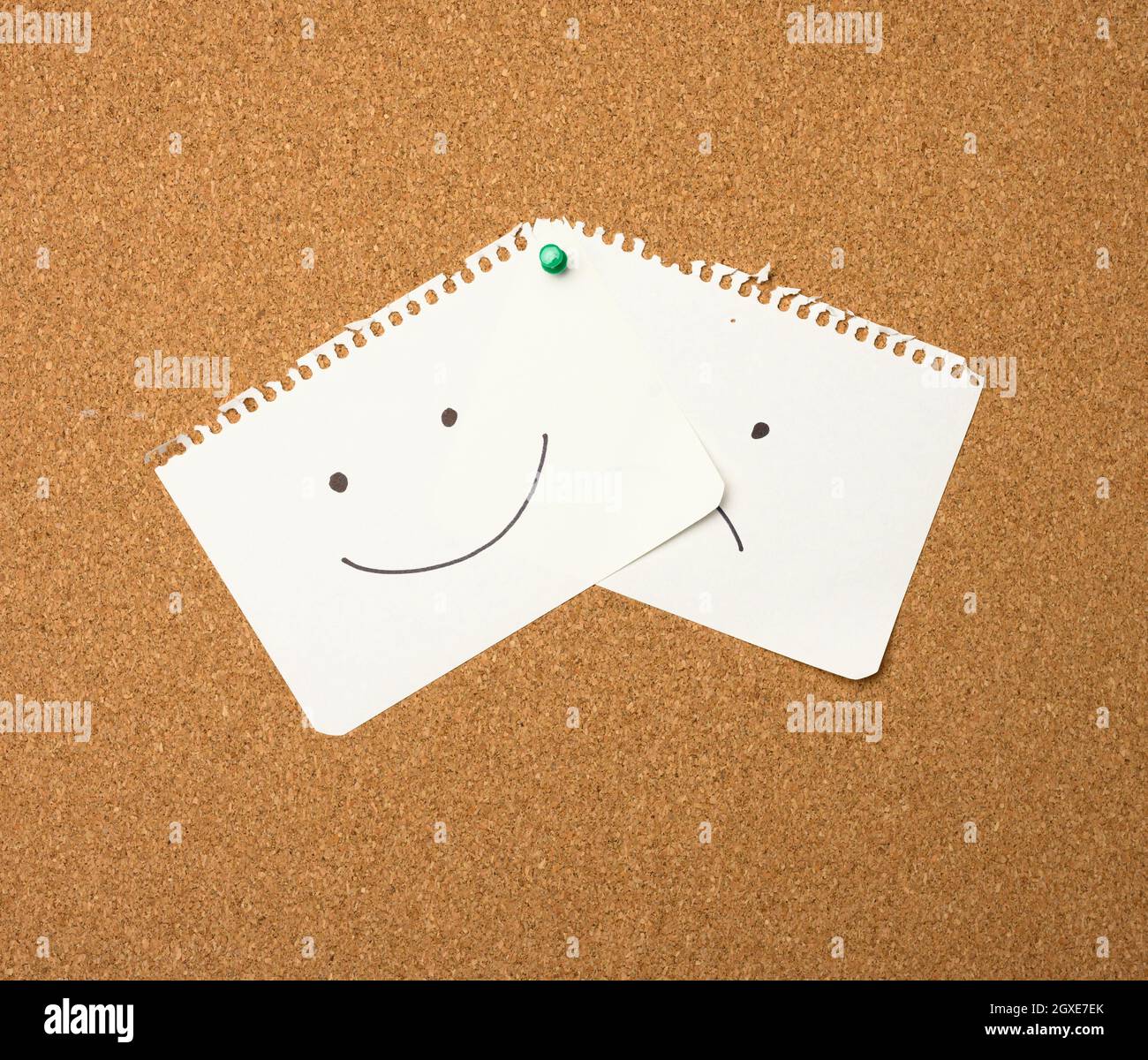 two paper leaves with a smile and a sad emotion attached with a button ...
