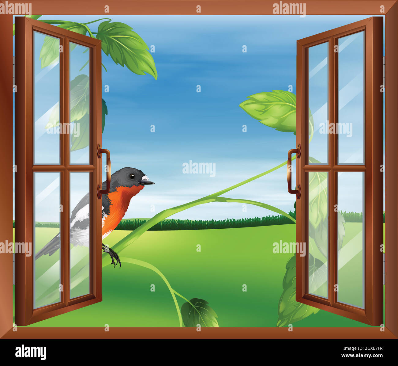 Open Window With Birds