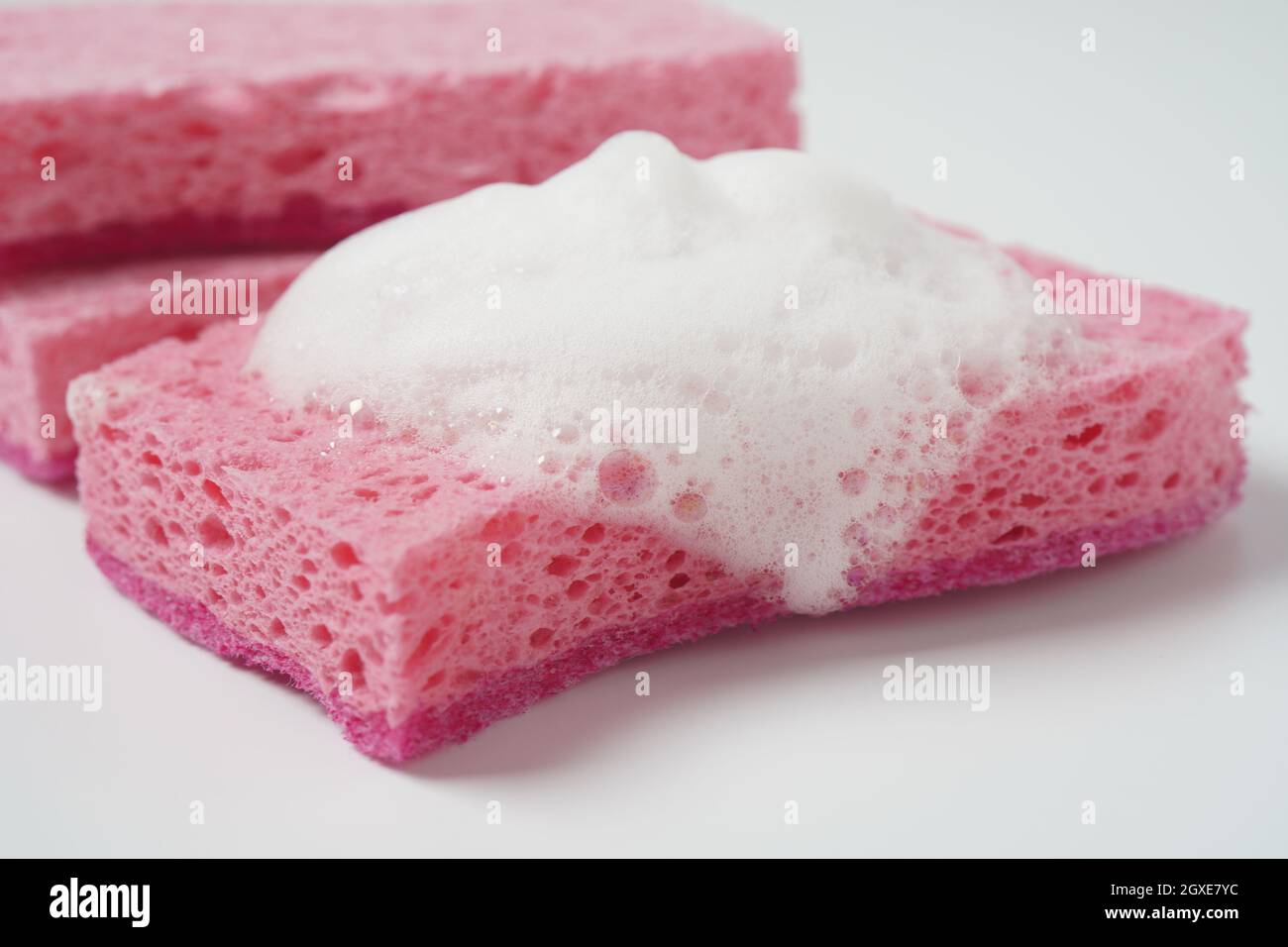 Pink cleaning sponge in soap foam on white background Stock Photo - Alamy