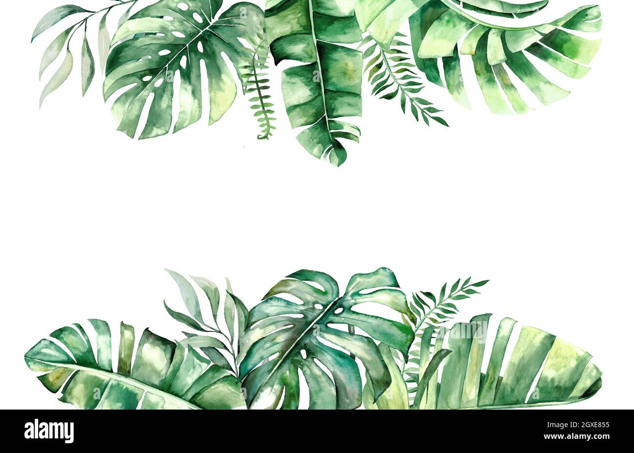 Watercolor tropical leaves border illustration Stock Photo - Alamy