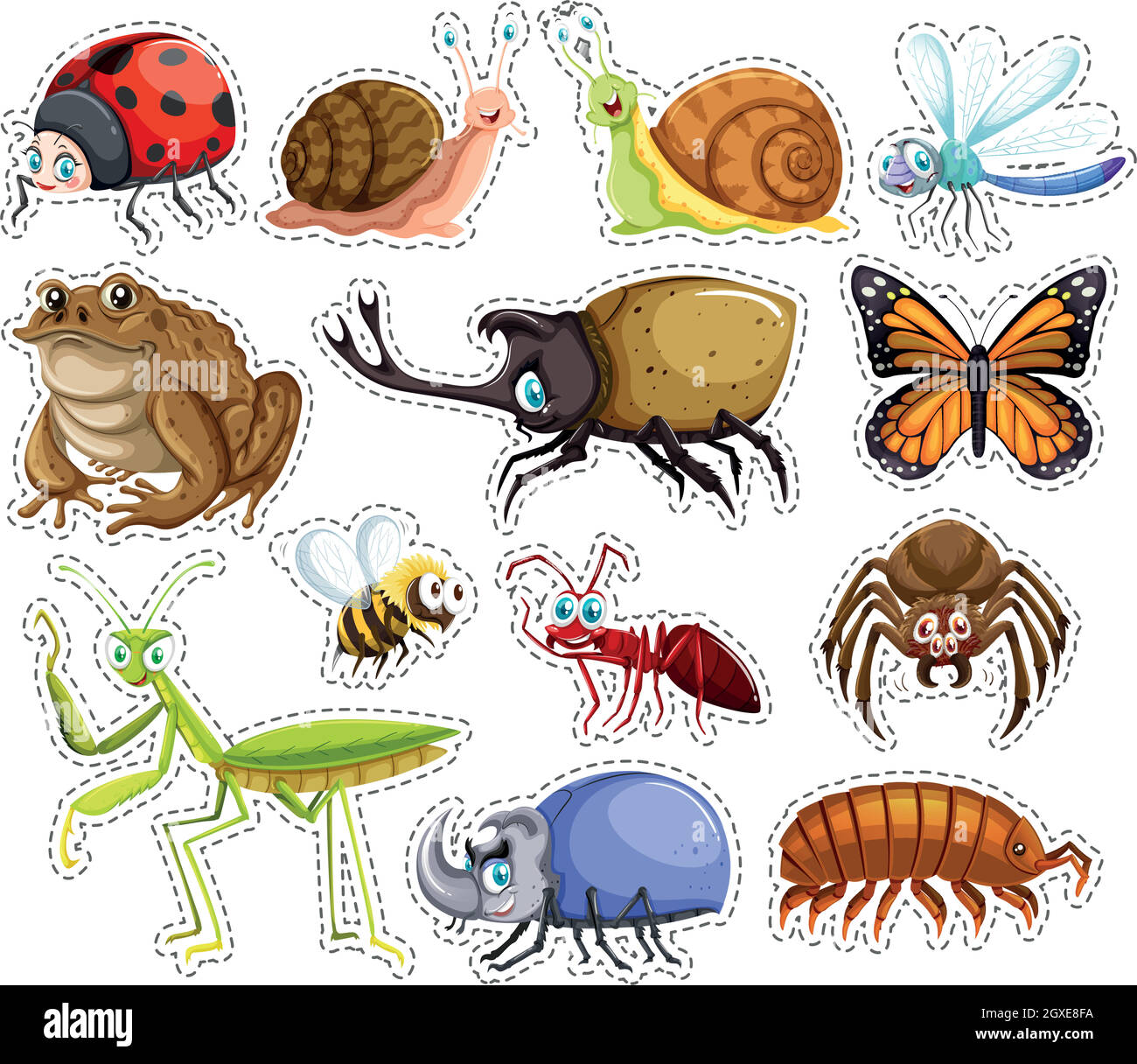 Frog insects Stock Vector Images - Alamy