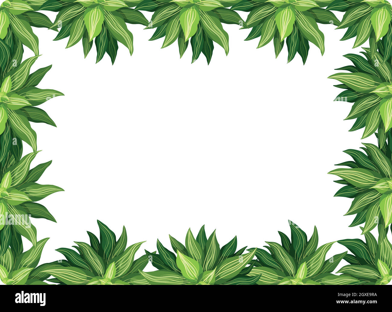 A nature leaf border Stock Vector Image & Art - Alamy