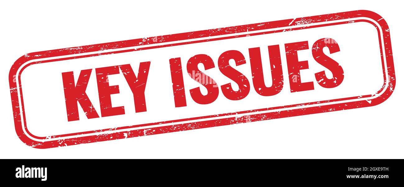 KEY ISSUES text on red grungy rectangle stamp Stock Photo - Alamy