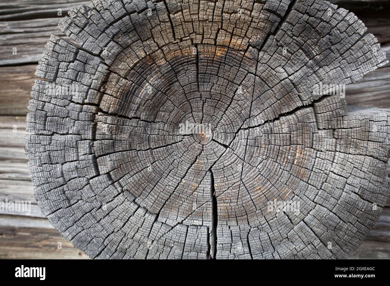 Wooden logs of an old house. Close-up. Weathered natural gray wood ...