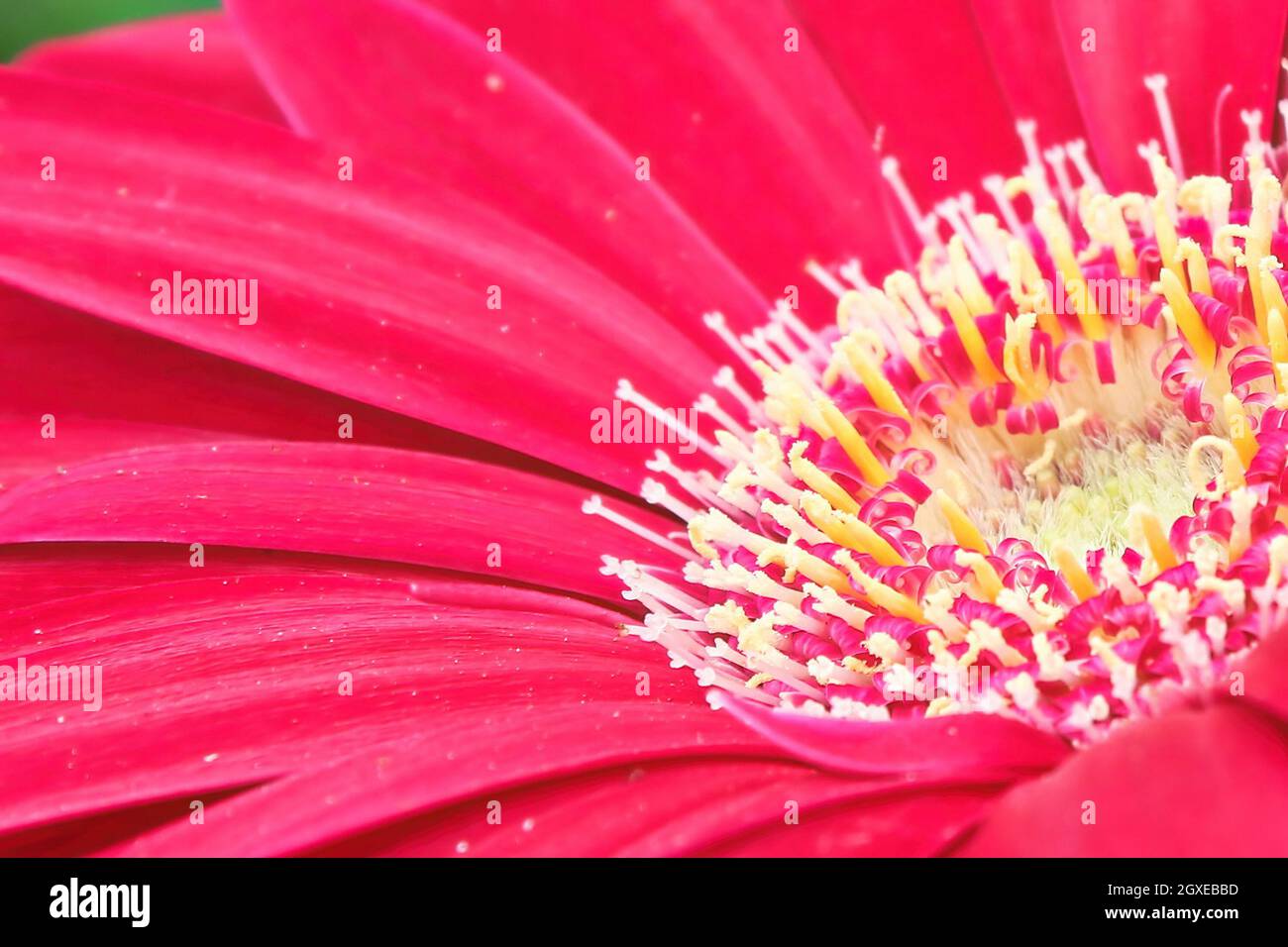 Lower right corner side view hi-res stock photography and images - Alamy