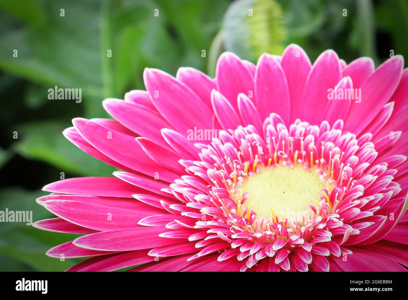 Lower right corner side view hi-res stock photography and images - Alamy