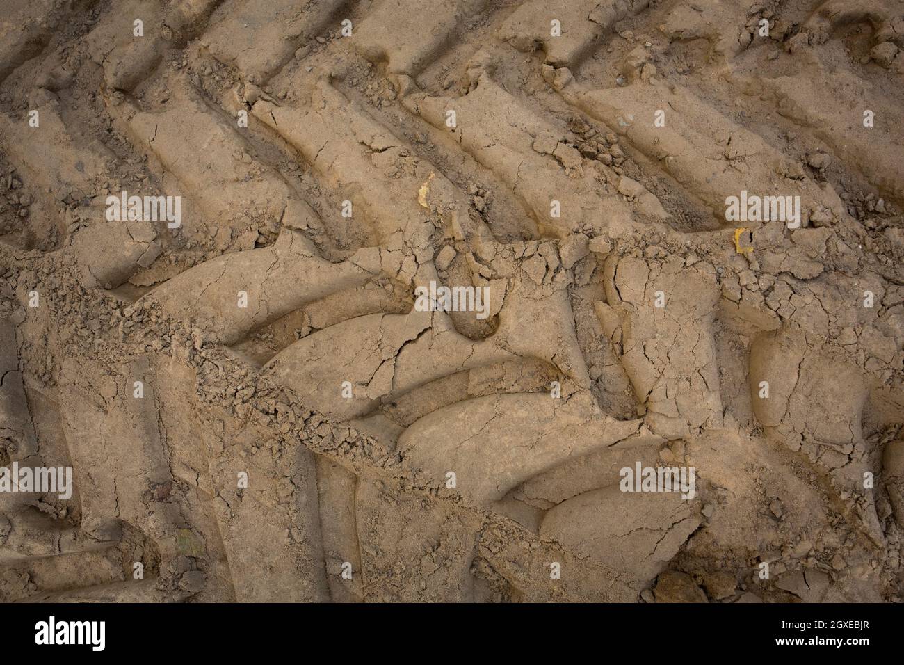 Wheel trail on sandy ground from large transport, tractor on ...