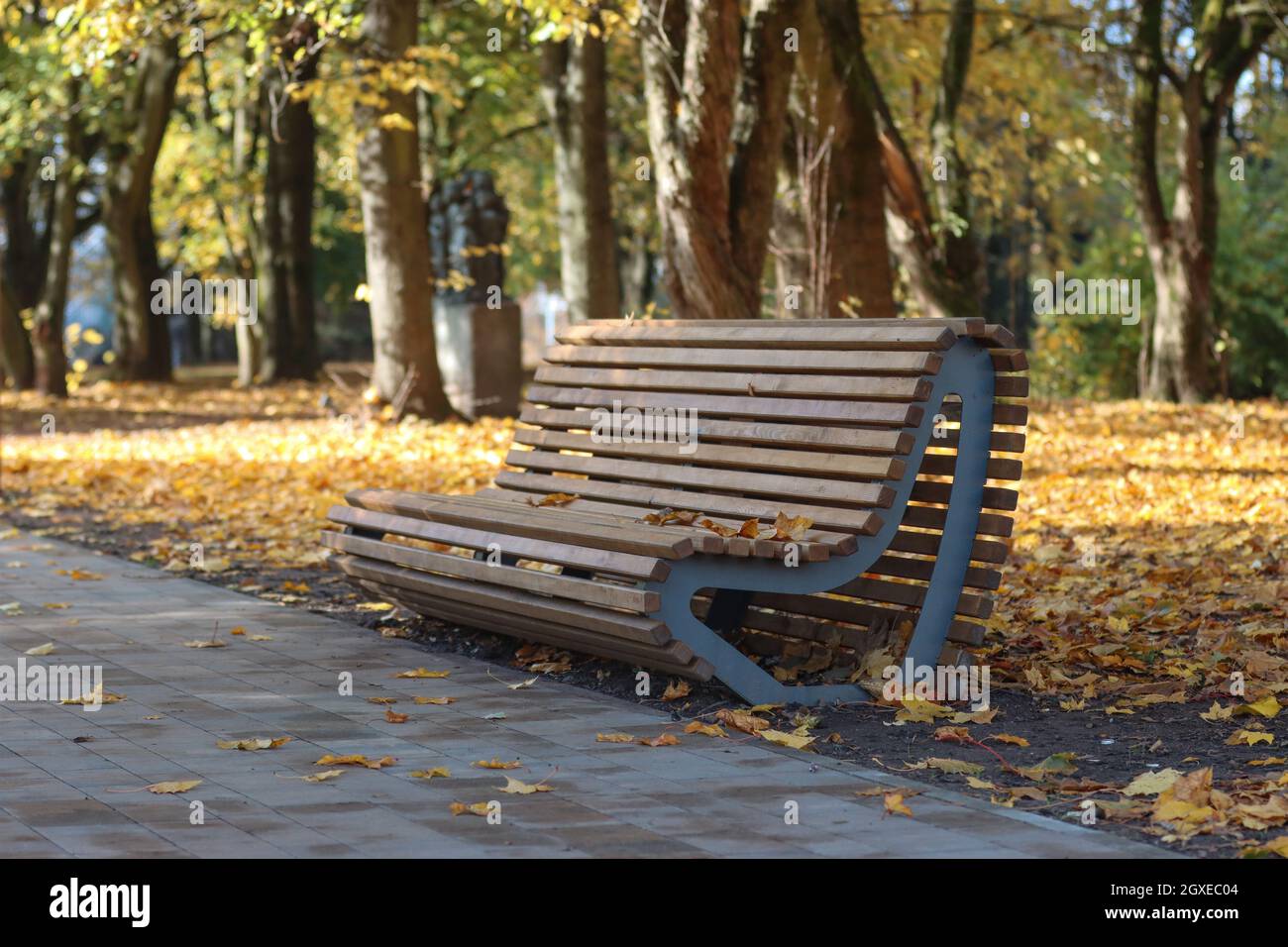 Autumn, urban park landscape, single bench for people Stock Photo - Alamy