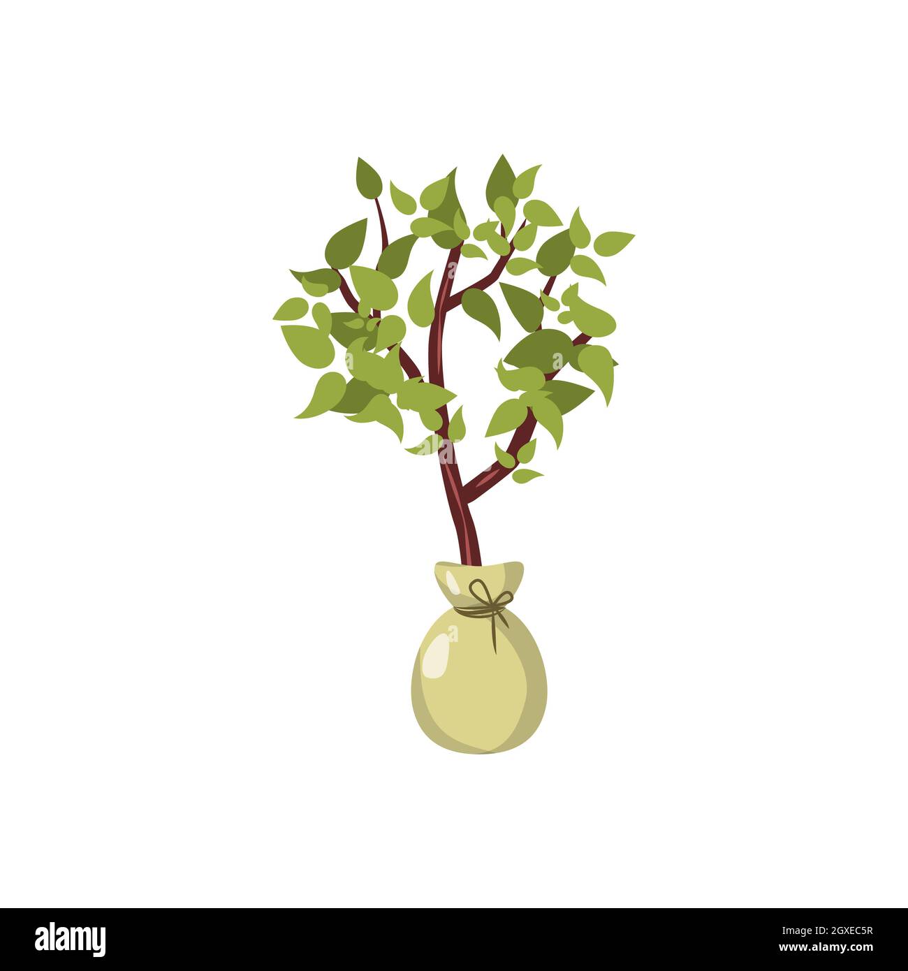 Seedling icon in cartoon style on a white background Stock Photo - Alamy