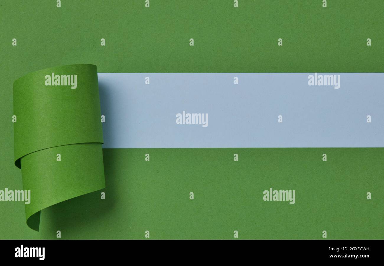 Green ripped paper curled up Stock Photo - Alamy