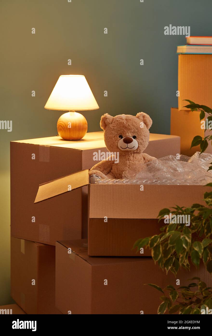 Teddy bear moving box hi-res stock photography and images - Alamy