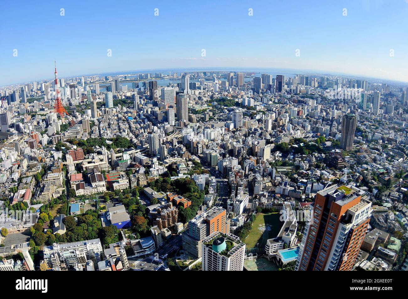 Tokyo Tower and the dense city viewed from the Mori Tower, Roppongi ...