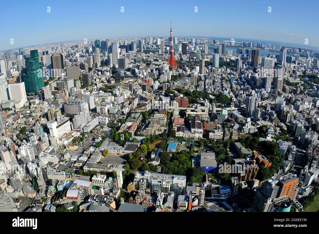 Tokyo Tower and the dense city viewed from the Mori Tower, Roppongi ...