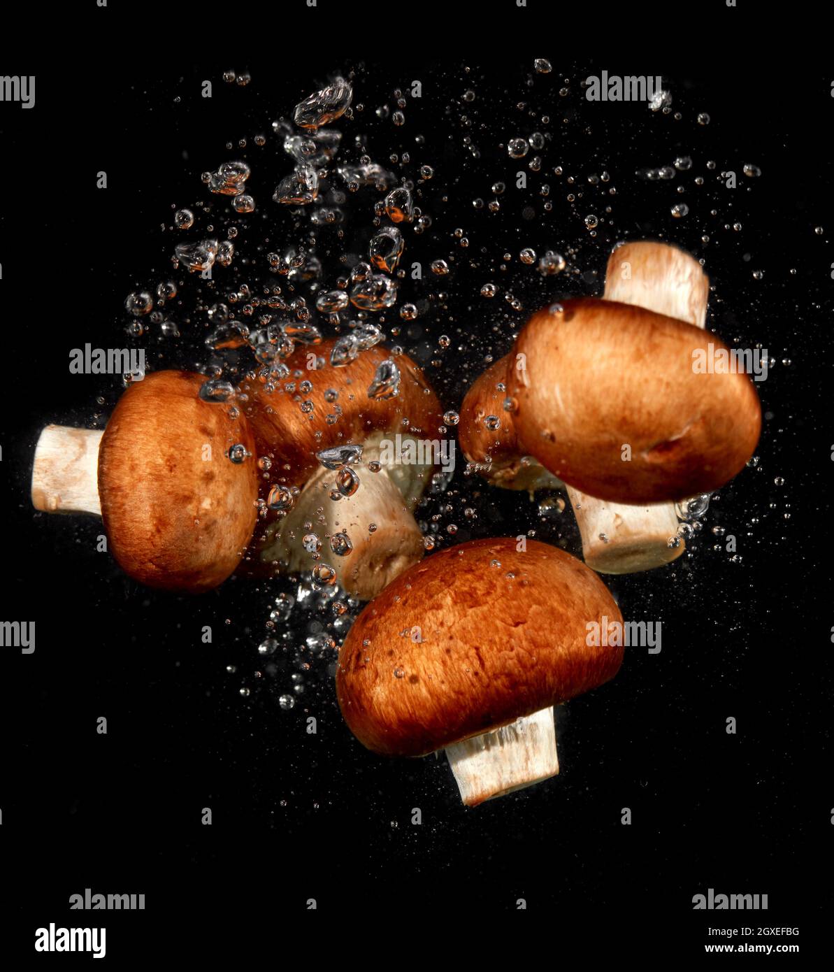 Close up mushrooms falling water hi-res stock photography and images ...