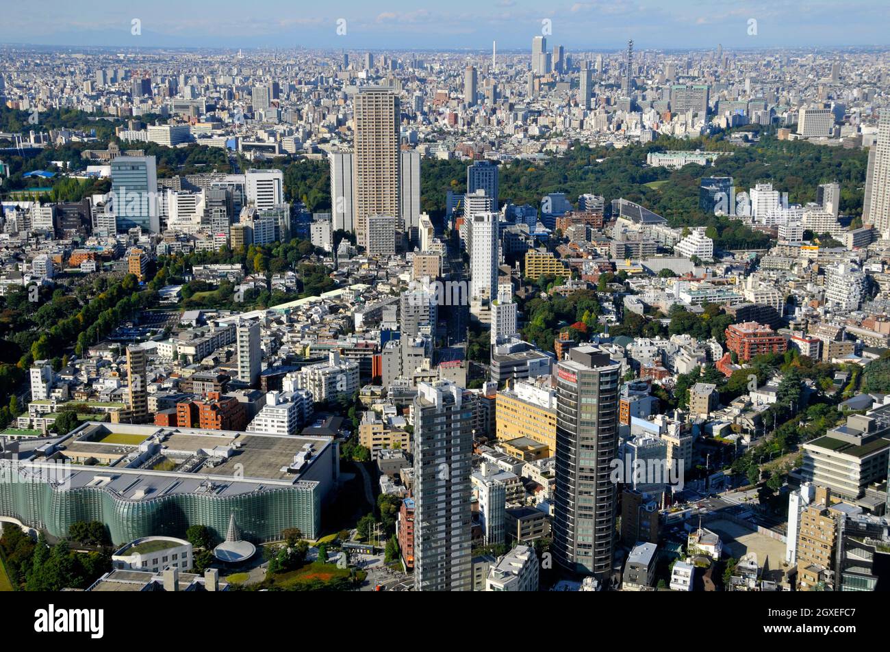 Dense city skyline viewed from the Mori Tower, Roppongi Hills, Tokyo ...