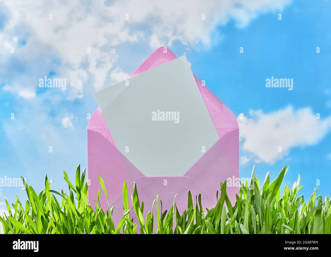 Envelope outdoors in the grass Stock Photo - Alamy