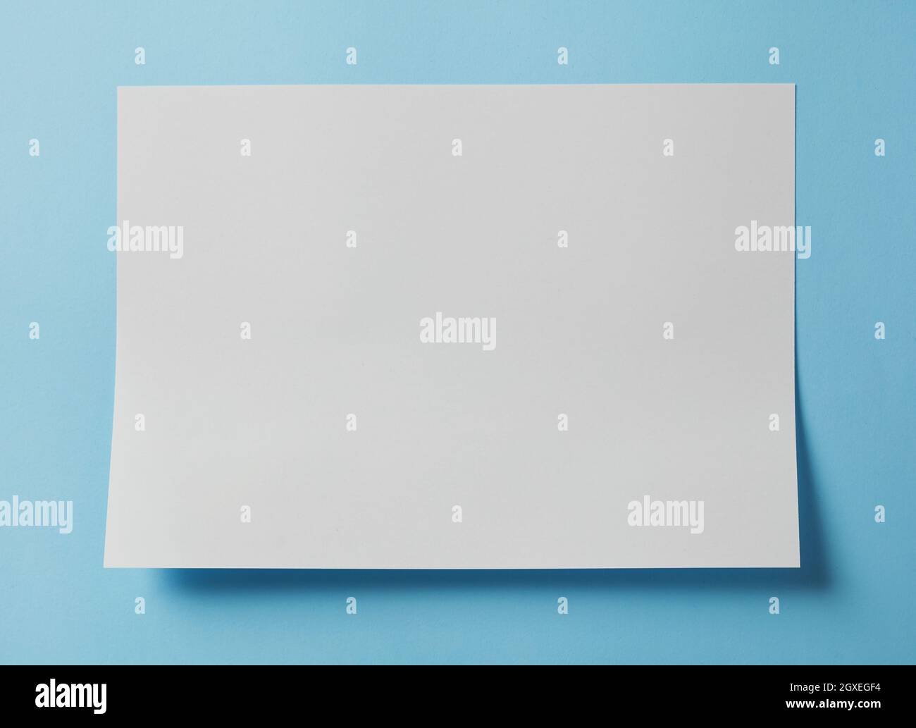 New blank white A4 paper Stock Photo - Alamy
