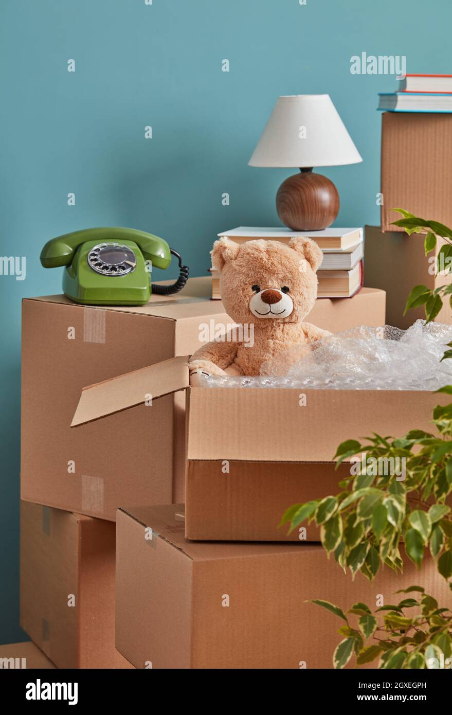 Cardboard boxes and belongings in room Stock Photo - Alamy