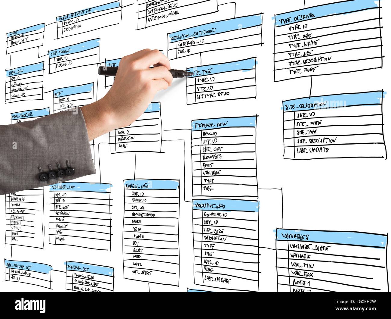 Programmer draws and organizes a new database Stock Photo - Alamy