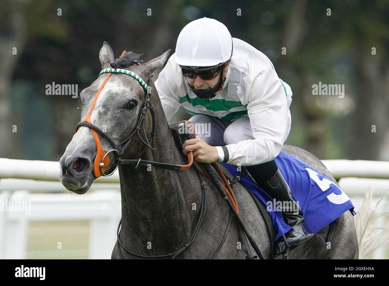 Ryan tate riding alpinista hi-res stock photography and images - Alamy