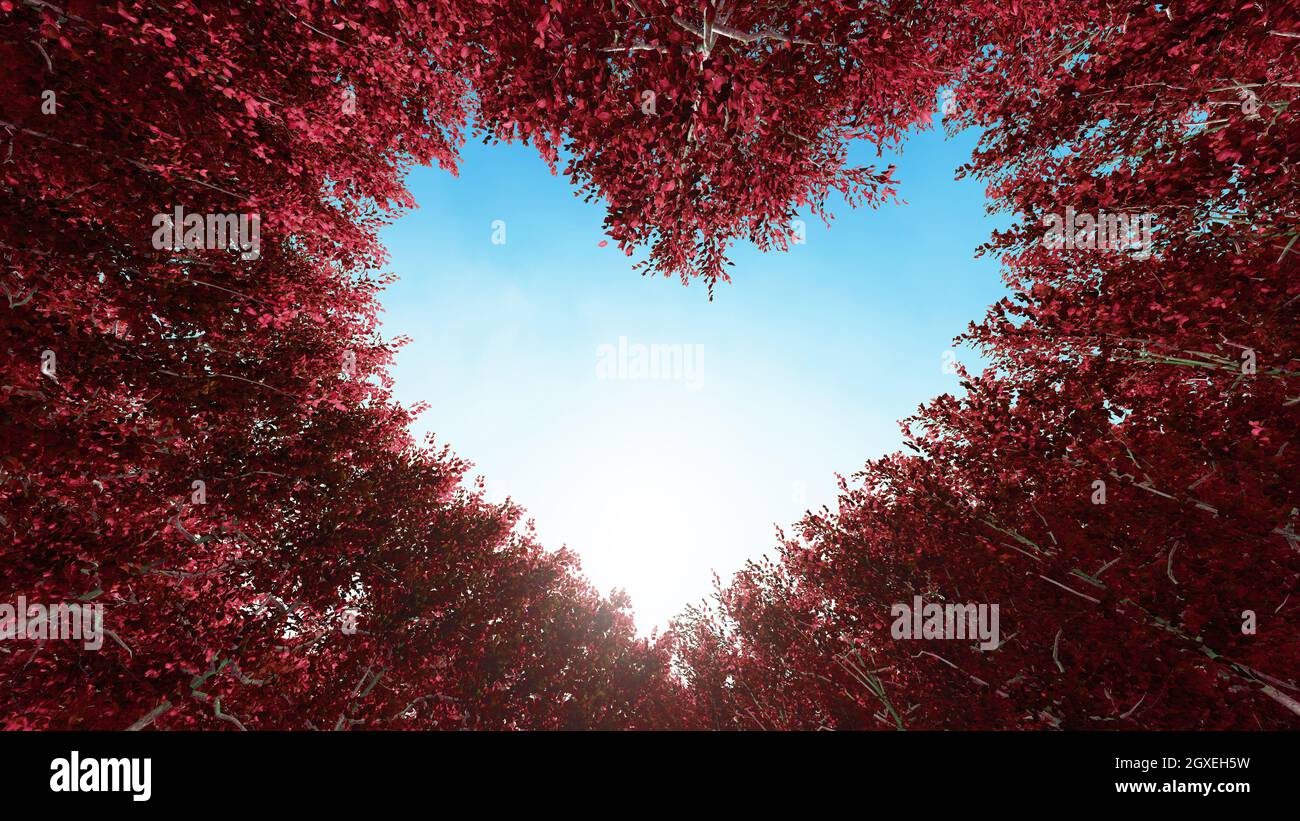 Concept or conceptual heart shape symbol made of forest tree branches ...