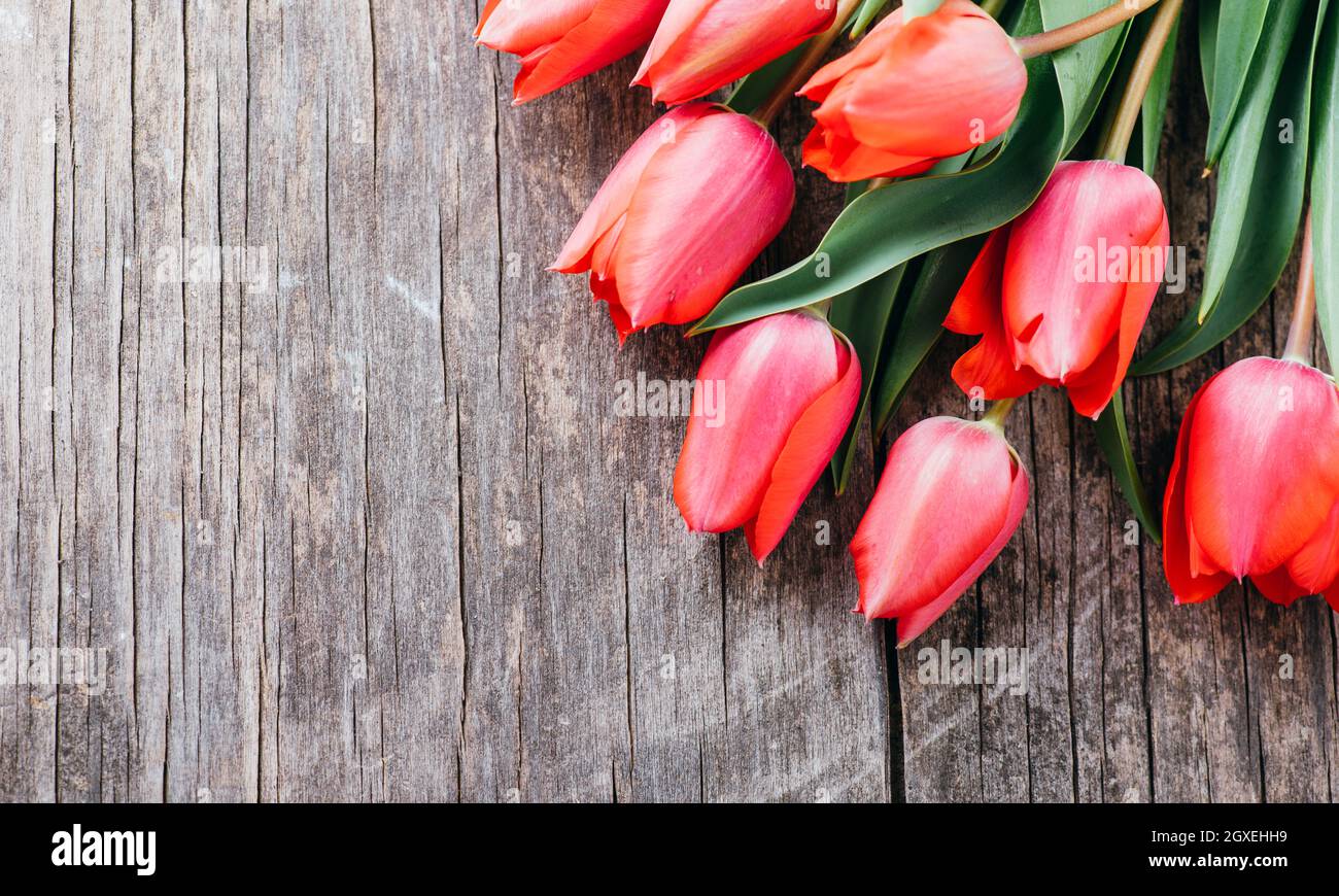 Red Flower Top Border