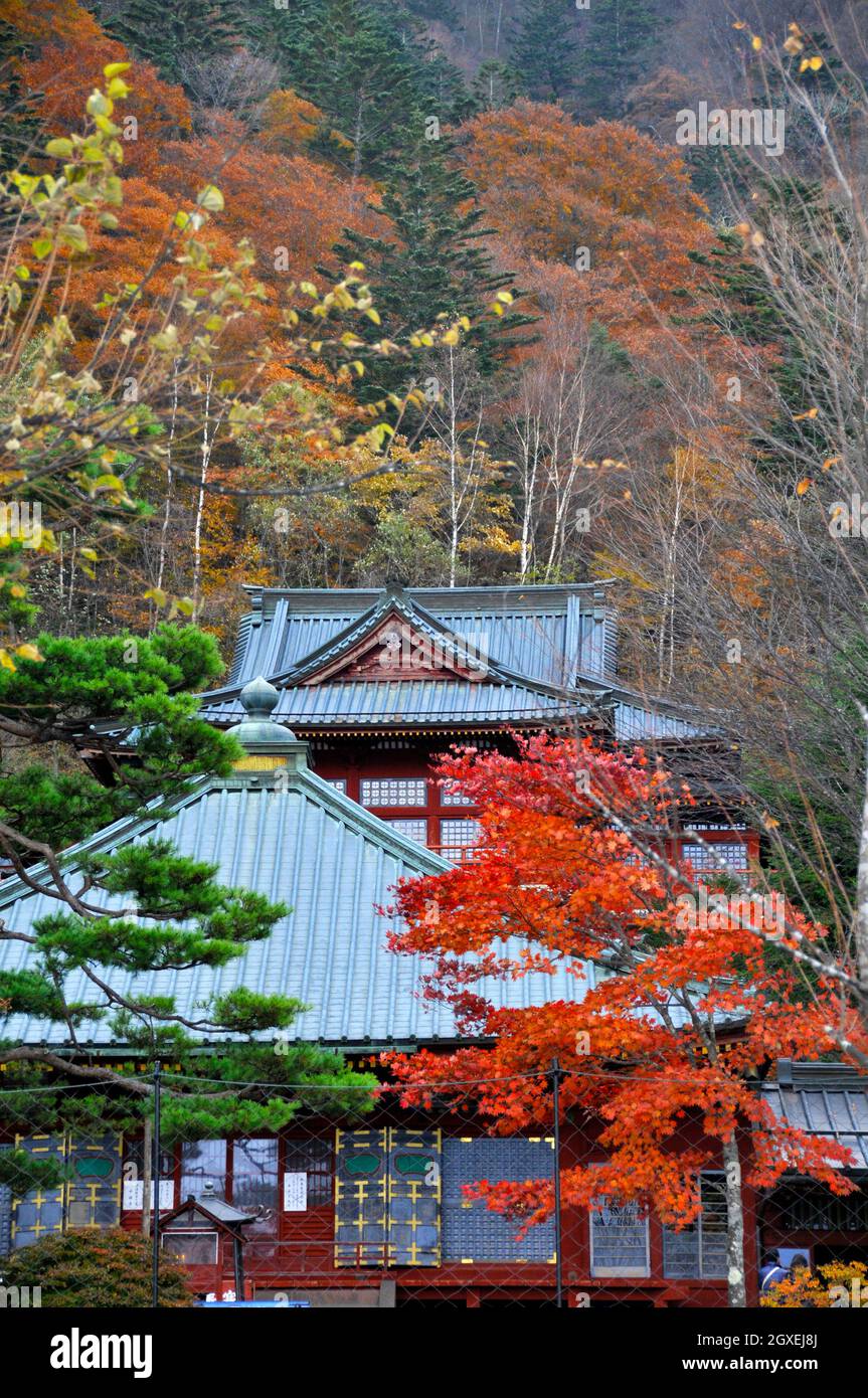 Foliage colors surround a Japanese temple close to Nikko National Park ...