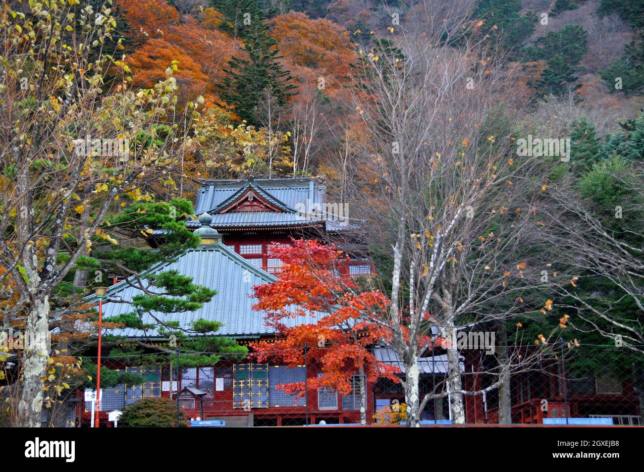 Foliage colors surround a Japanese temple close to Nikko National Park ...