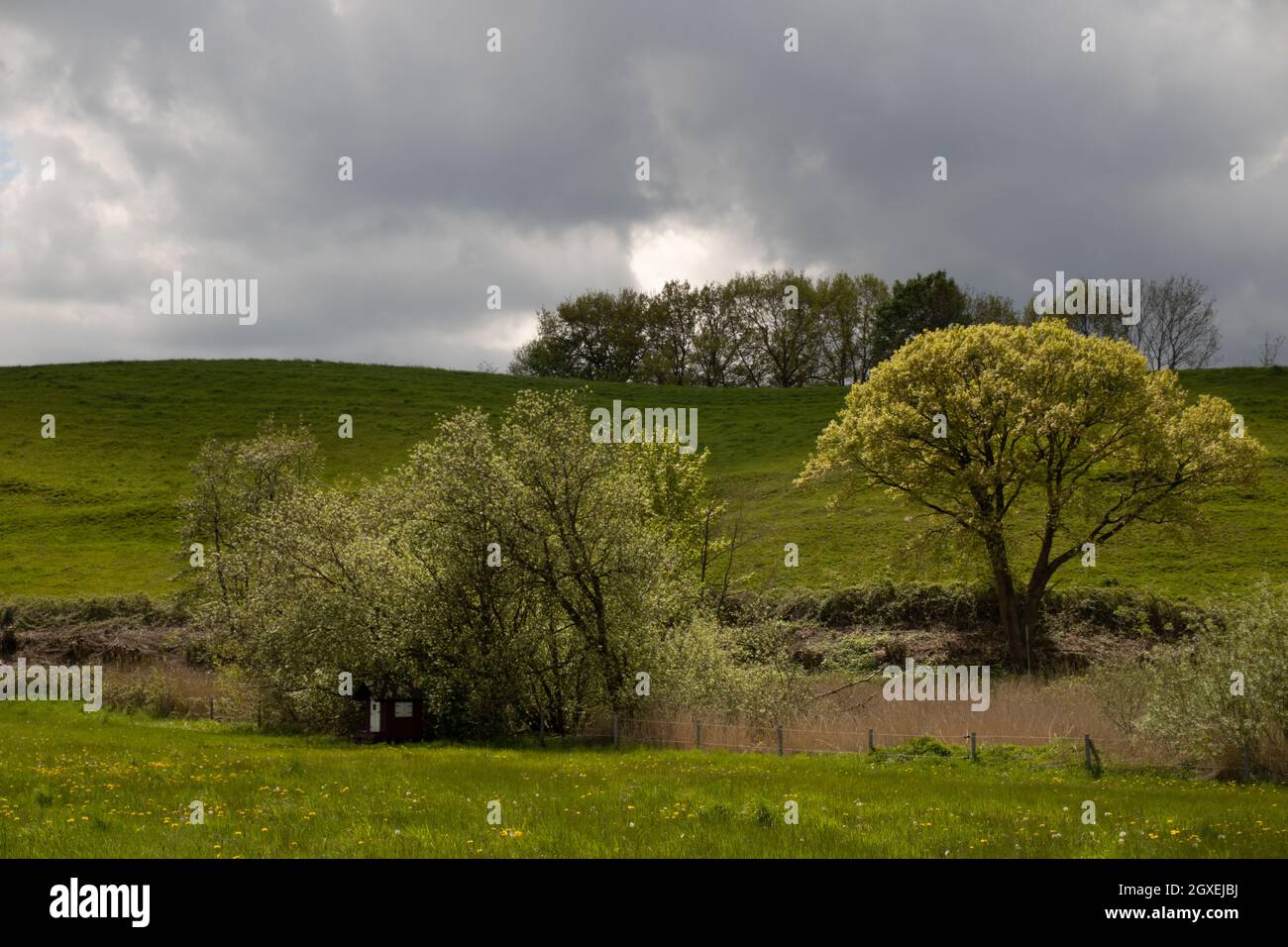 Moody scenery hi-res stock photography and images - Alamy
