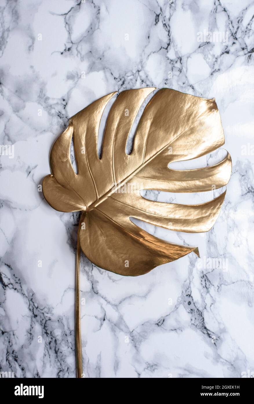 Golden monstera leaf on luxury marble background. Clean minimal flat ...