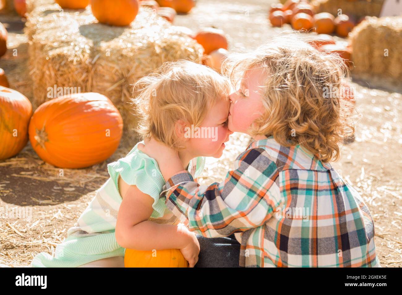 Sweet Little Boy Kisses His Baby Sister in a Rustic Ranch Setting at ...