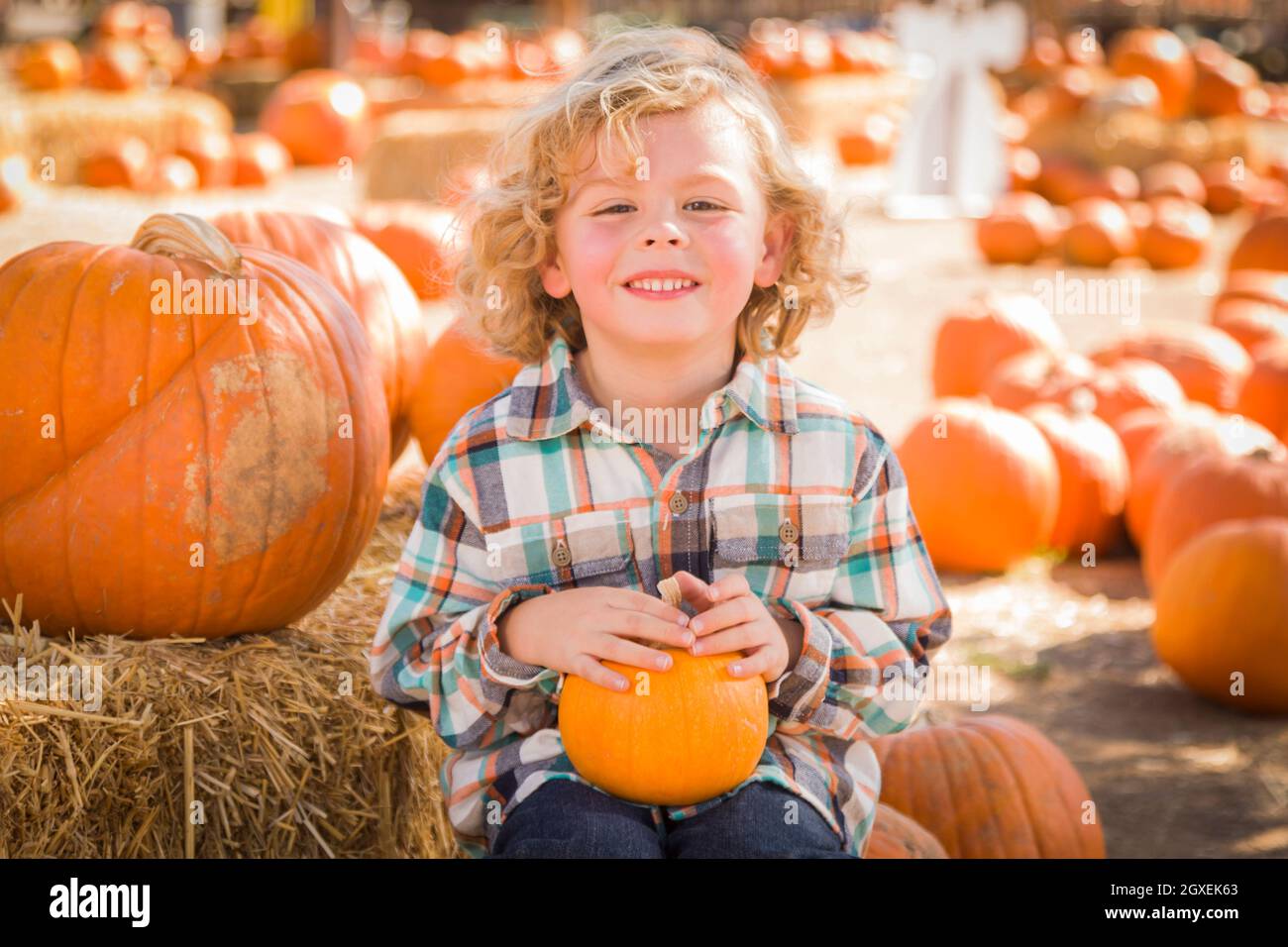 Adorable Little Boy Sitting and Holding His Pumpkin in a Rustic Ranch ...