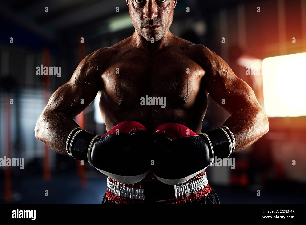 Confident boxer ready to fight at the gym Stock Photo - Alamy