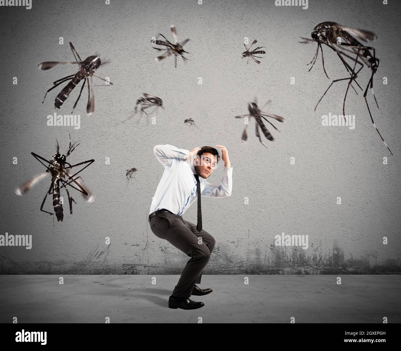 Giant mosquitoes attacking a frightened scared man Stock Photo - Alamy