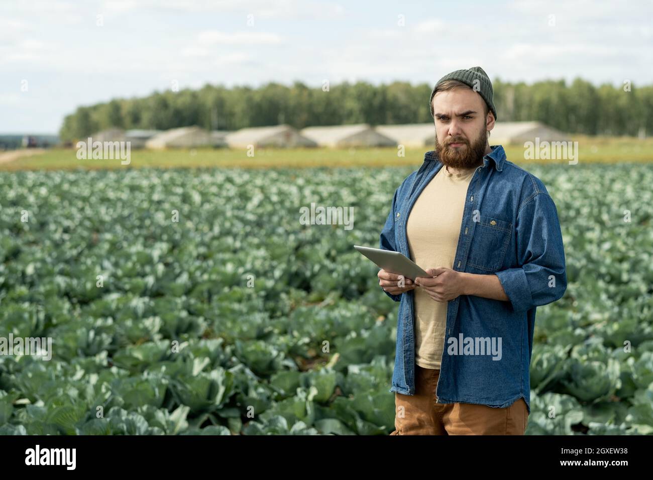 Plantation owner hi-res stock photography and images - Alamy