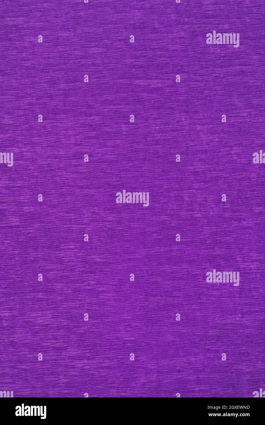 Purple paper texture Stock Photo - Alamy