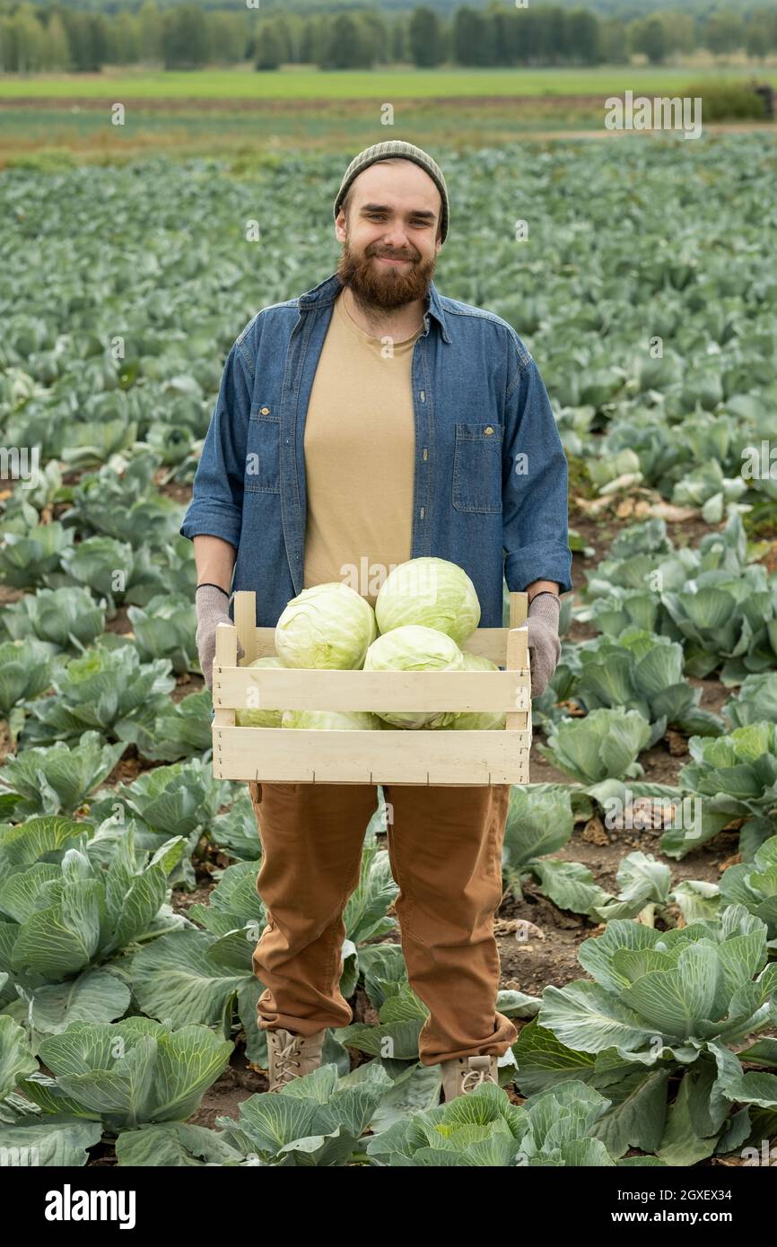 Man holding cabbage hi-res stock photography and images - Alamy