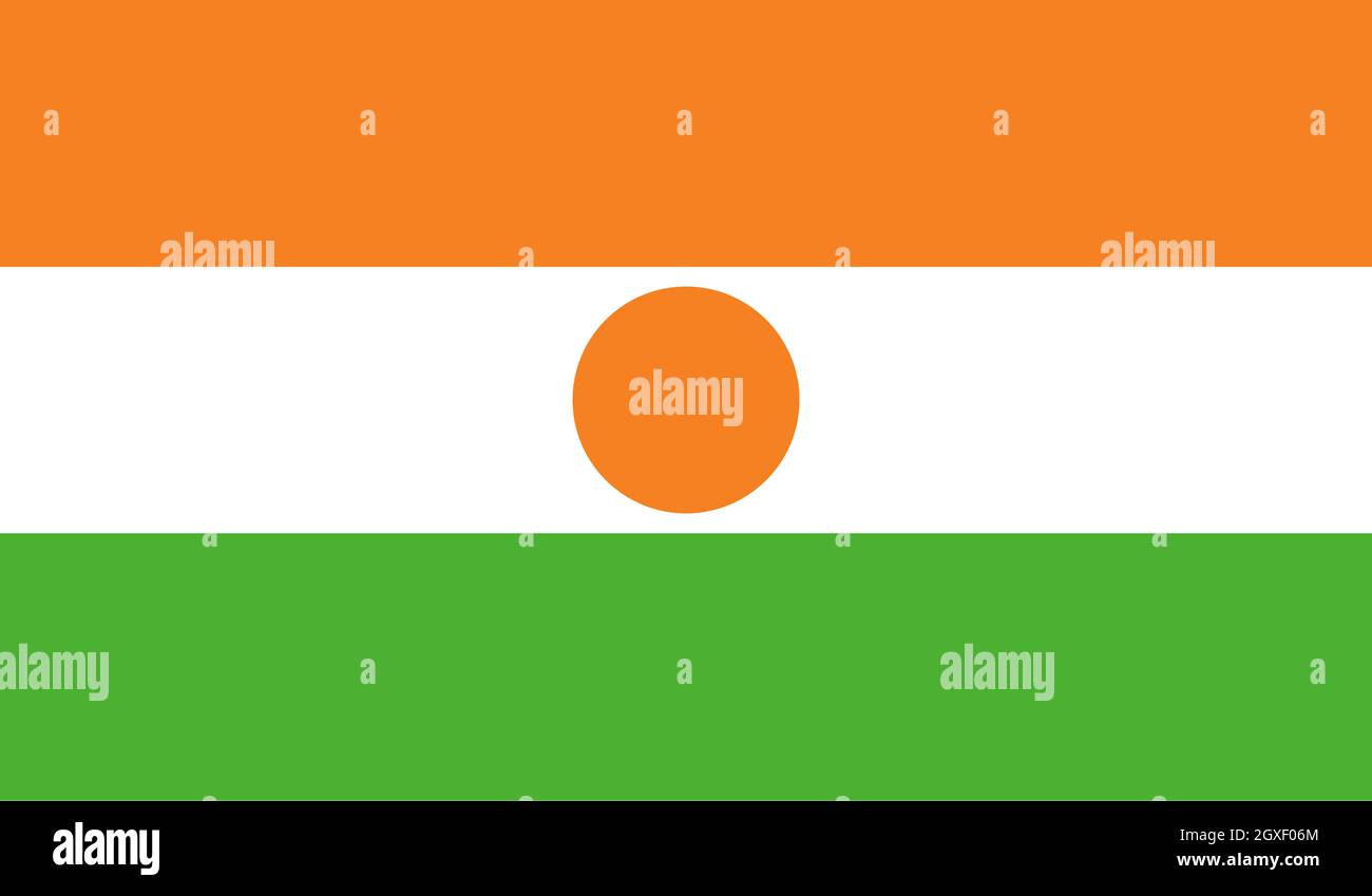 Niger flag image for any design in simple style Stock Photo - Alamy