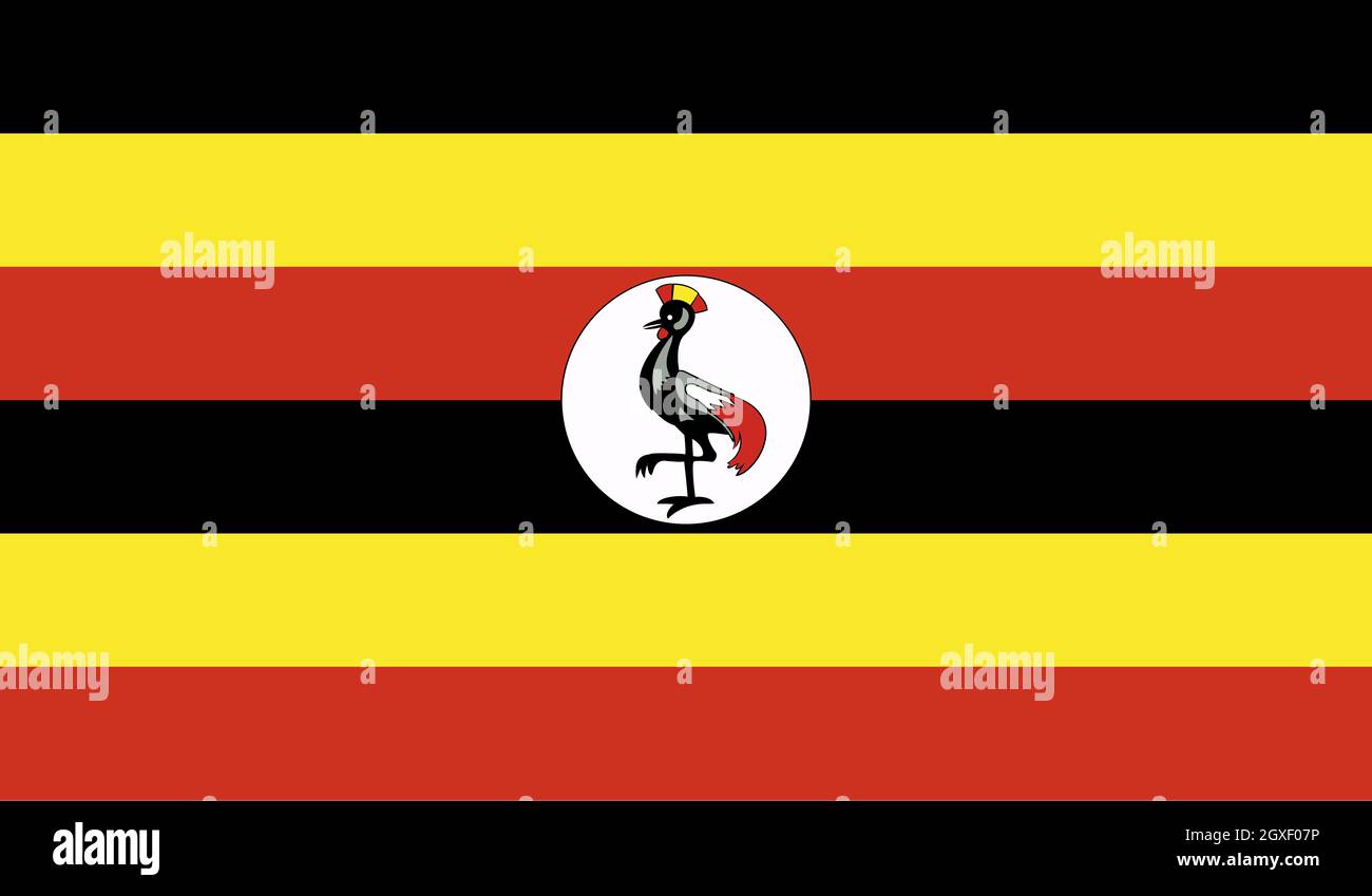 Uganda flag image for any design in simple style Stock Photo - Alamy