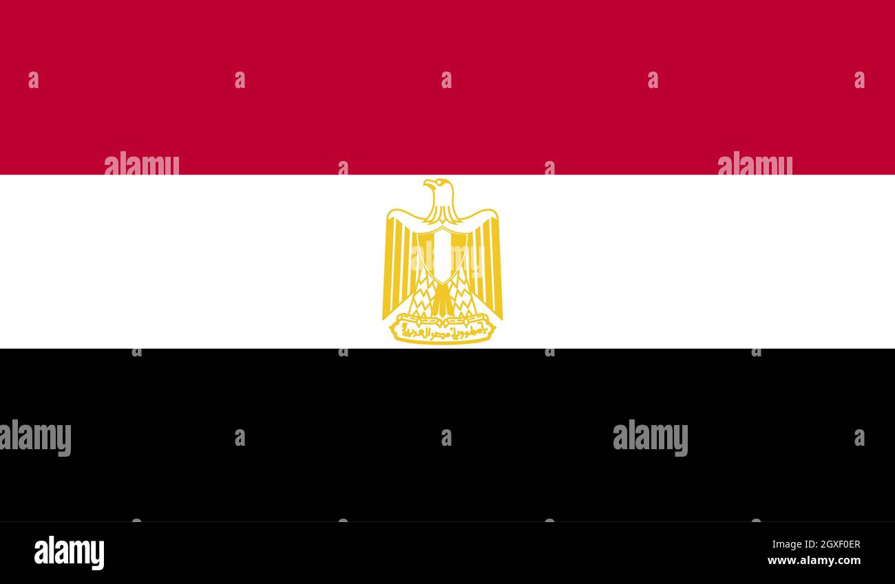 Egypt flag image for any design in simple style Stock Photo - Alamy