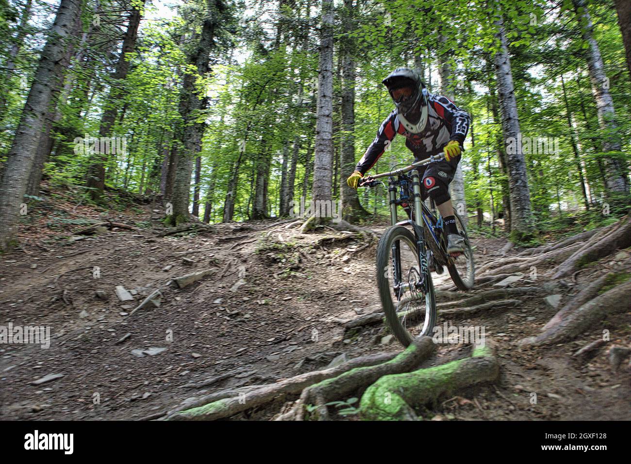 Downhill, sport, bicycle, mountain Stock Photo - Alamy