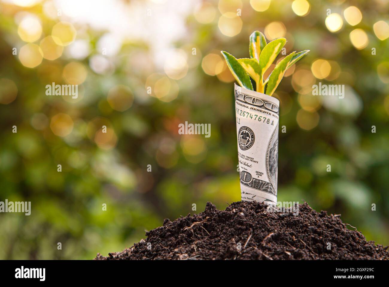 Economic Growth symbol one hundred dollar bill with a plant or leaf ...