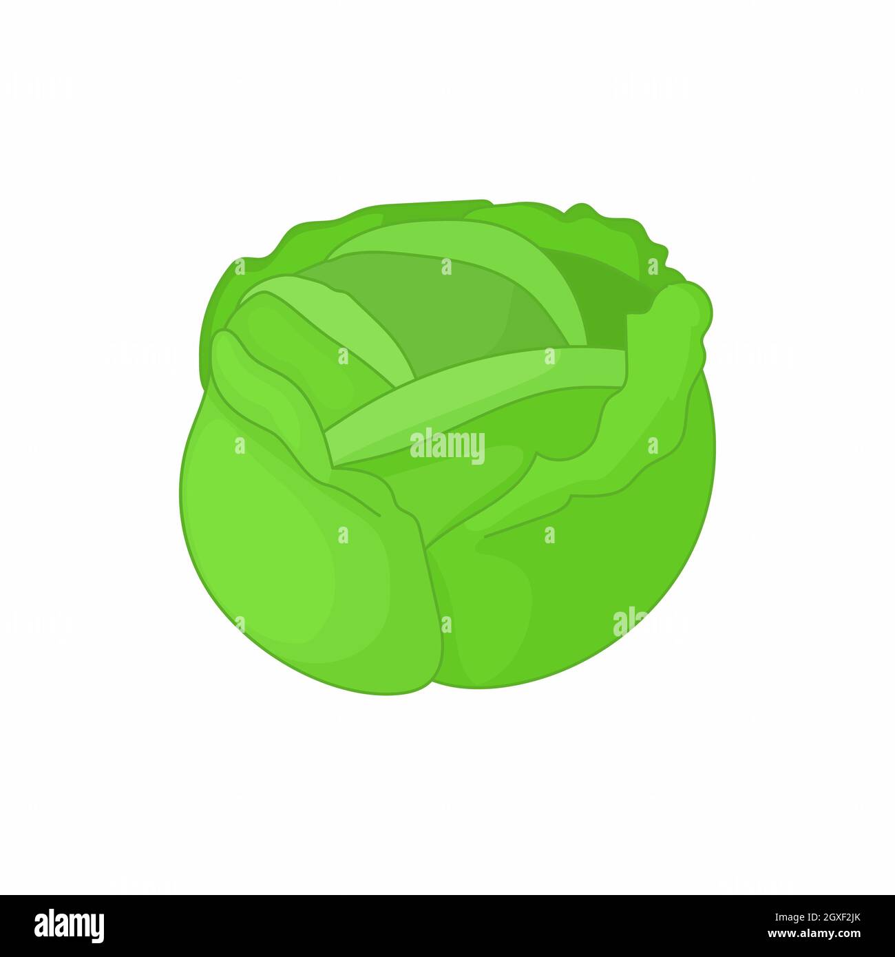 Cabbage icon in cartoon style on a white background Stock Photo - Alamy