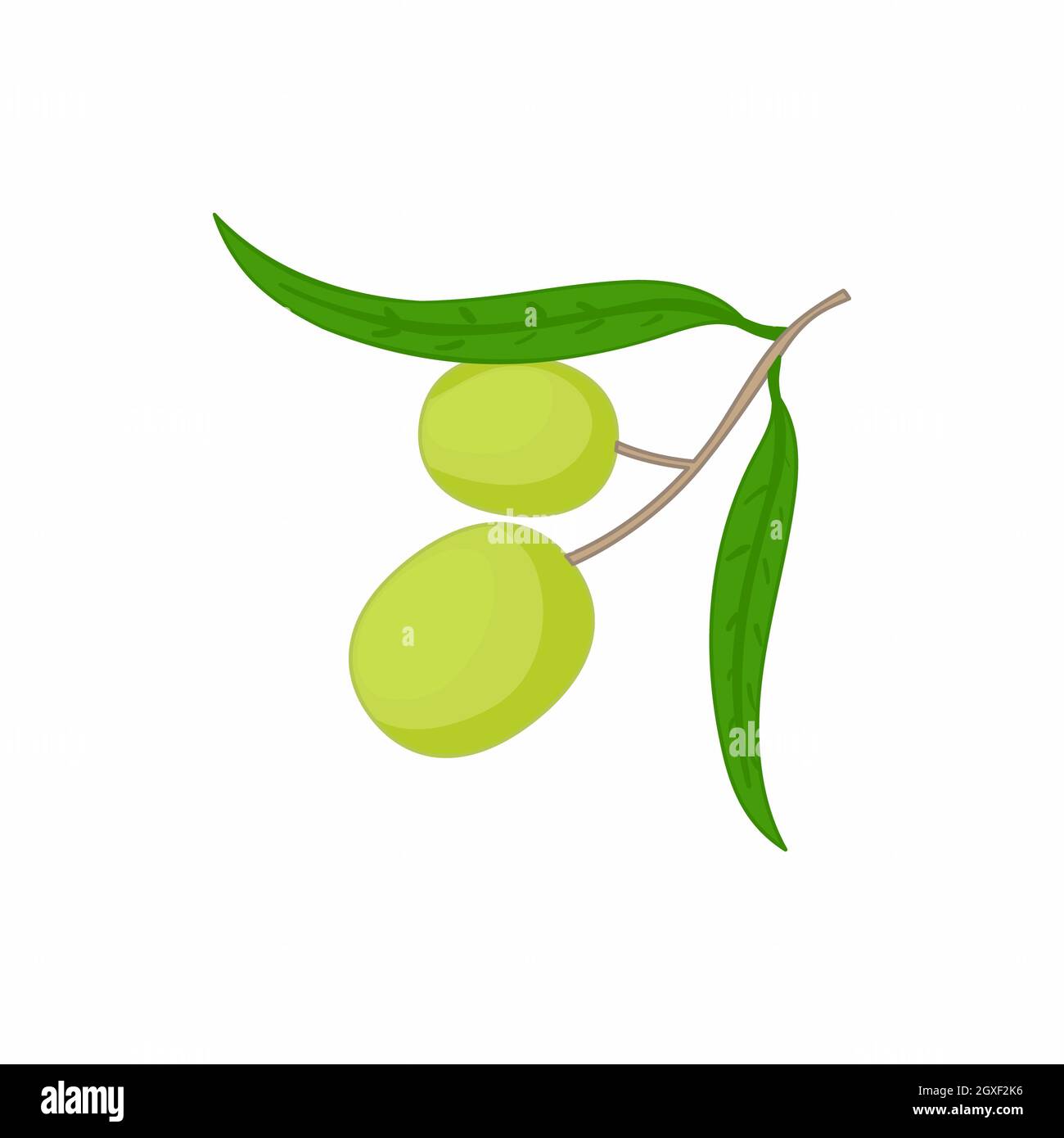 Olives on branch with leaves icon in cartoon style on a white ...